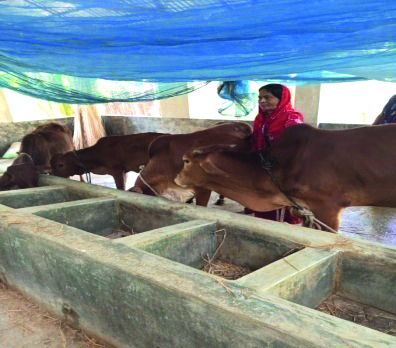 Livestock and Fisheries Program – Gono Unnayan Proceshta