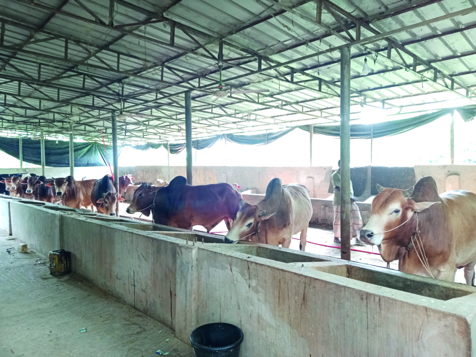 Livestock and Fisheries Program – Gono Unnayan Proceshta