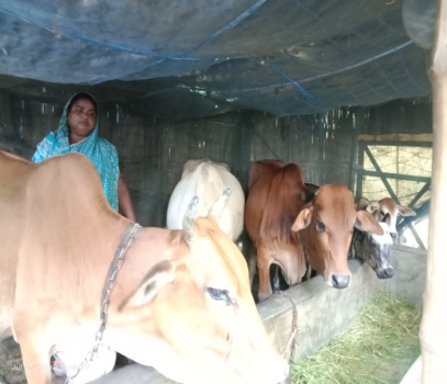 Livestock and Fisheries Program – Gono Unnayan Proceshta